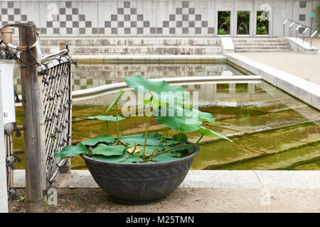 Shirotori traditional Japanese garden in Nagoya Stock Photo - Alamy