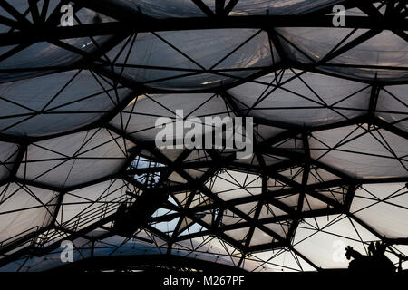 Structure detail at The Eden Project Cornwall Stock Photo - Alamy