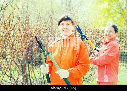 Two women cutting shrubbery at garden Stock Photo - Alamy