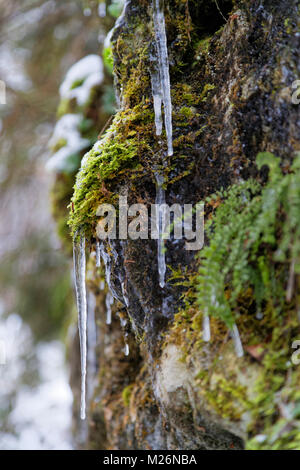 France, Isere, Cirque of Saint Meme and its waterfalls in the ...