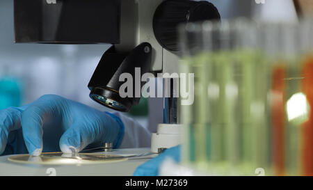 Close-up of scientist adjusting the lenses of a microscope during medical exam in laboratory ...