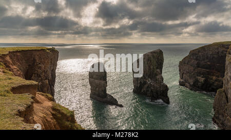 Elegug Stack Rocks near Castlemartin in Pembrokeshire, Wales, UK Stock ...