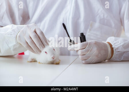 White rabbit in scientific lab experiment Stock Photo - Alamy