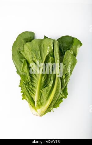 Fresh raw green romaine lettuce leaves for salad on light wooden ...