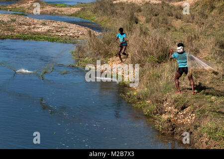 Men belonging to Tharu community fish in the Rapti river in Sauraha ...