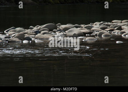 River rocks on the Siletz River, Oregon Stock Photo - Alamy