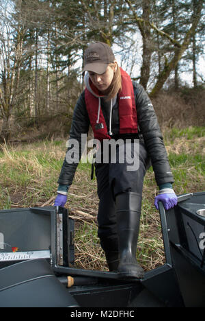 Steelhead trout fishing on the Siletz River in Oregon Stock Photo - Alamy