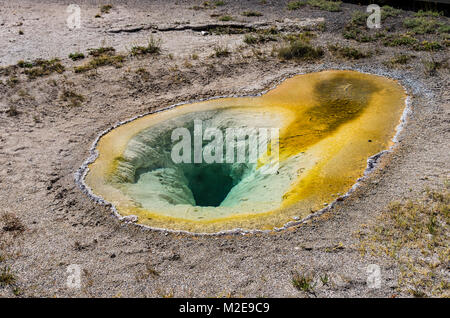 Belgian pool - hot spring - Yellowstone National Park Stock Photo - Alamy