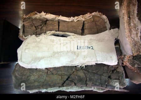 Mansoura, Egypt. 7th Feb, 2018. A researcher from Mansoura University's ...