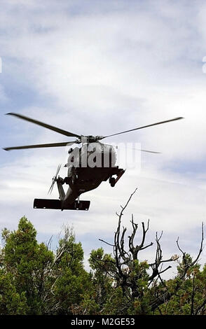 During EXERCISE DESERT RESCUE IX, Elite U.S. Air Force Pararescue personnel relax before ...