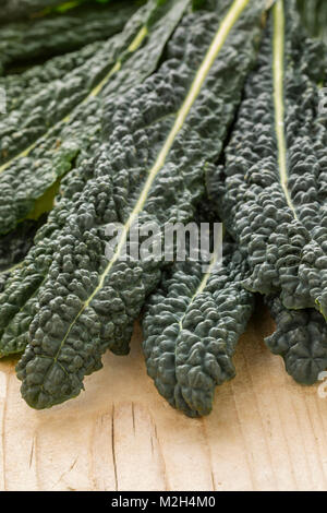 Cavolo Nero, Italian black Cabbage Stock Photo - Alamy