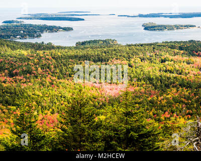 fall color trees acadia np maine Stock Photo - Alamy