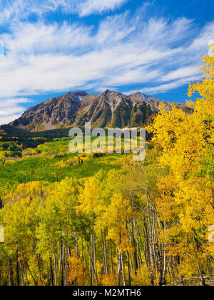 East Beckwith Mountain, Horse Ranch Park Loop Trail, Kebler Pass ...
