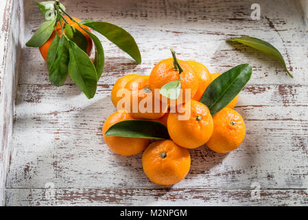 Delicious and beautiful mini Tangerines with leaves in the wooden bowl ...