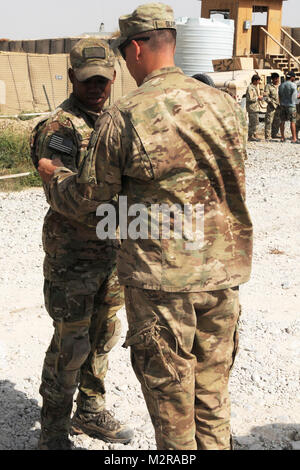 Shoulder patch: 25th Infantry Division. Country: Unknown Stock Photo ...