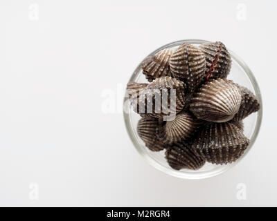 A group of raw cockle, ark shell, shot high angle view isolated on ...