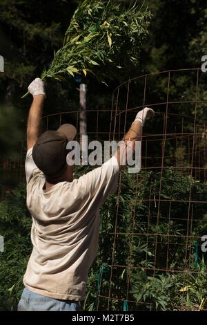 Mendocino County, California, USA. 7th Feb, 2018. Miles and miles of ...