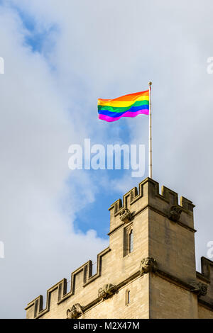 A rainbow lbgt (lbgtq) multi-coloured flag flutters in the wind aloft ...