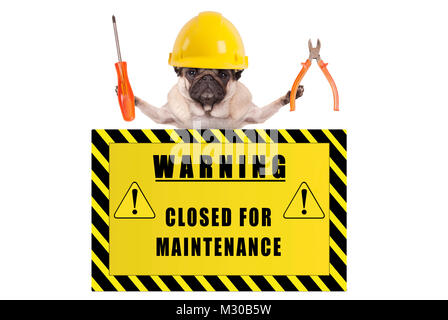 pug dog with yellow constructor safety helmet and warning sign with text closed for maintenance ...