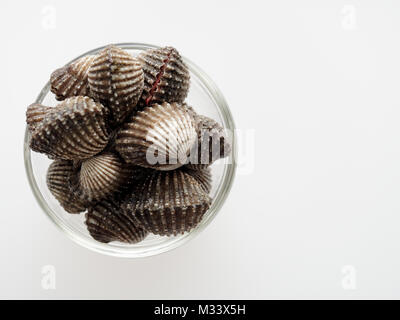 A group of raw cockle, ark shell, in a glass bowl isolated on white ...