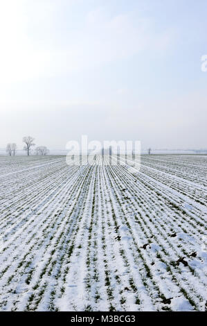 air, weather, earth, spring, winter, natural, animal, outdoor, field ...
