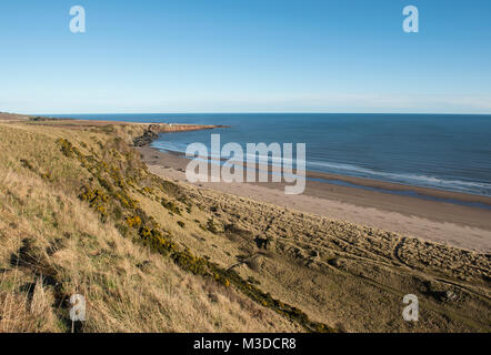 St. Cyrus beach viewed from the cliff top Stock Photo - Alamy