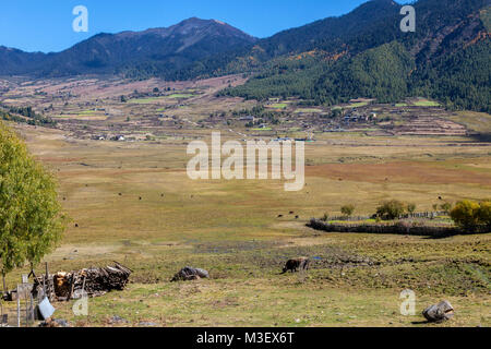Phobjikha, Bhutan. Phobjikha Valley, a Valley Carved by Glacial Action ...