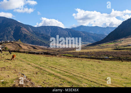Phobjikha, Bhutan. Phobjikha Valley, a Valley Carved by Glacial Action ...