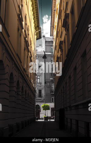 narrow dead end street in the maze of tall hedges Stock Photo - Alamy