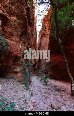 Echidna Chasm Walk, Purnululu National Park, UNESCO Site, Bungle Bungle ...