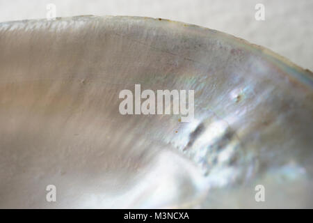 Detail of the inside of a mussel shell showing iridescence Stock Photo ...