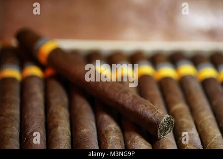 large wooden box of cigars handmade Cuban Stock Photo - Alamy