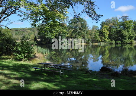 Bench Overlooking a Calm Lake with Trees Reflecting in the Water Stock ...