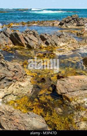 Pool at Couta Rocks, Arthur-Pieman Conservation Area, Arthur River ...