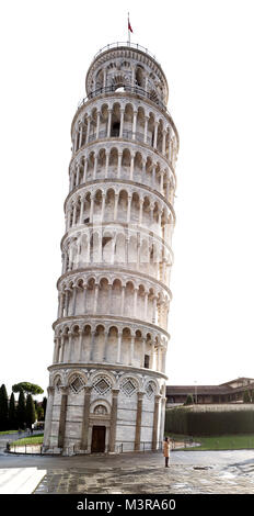 A tall classical-style tower on Karl Marx street, a blooming tree in ...