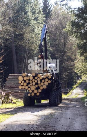timber loader (tractors for the lumber industry ) on a rubber track on ...