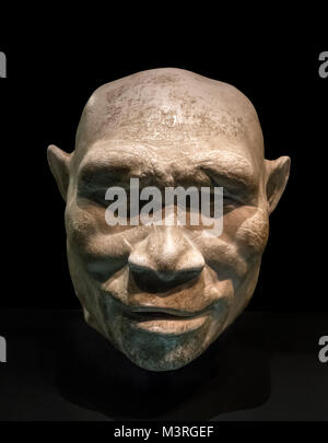 Early human Homo erectus Stock Photo: 93377870 - Alamy