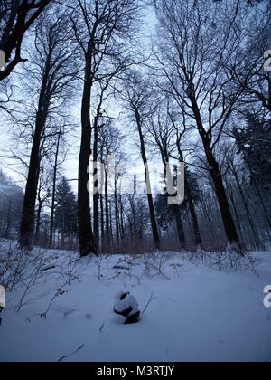 Snowy peak early morning. Chill awaking in misty country. Morning sun ...