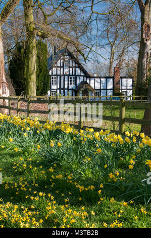 The Old Rectory black and white timber framed house in spring ...