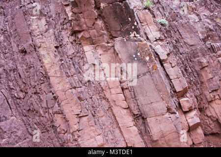 Red metamorphosed slates of the Devonian period Stock Photo - Alamy