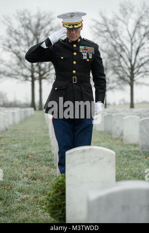 An army officer salutes during a wreath laying ceremony at The Hector ...