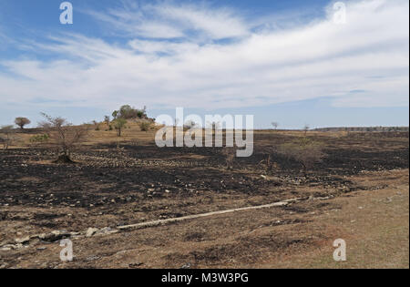 pasture burning, burnt area Madagascar October Stock Photo - Alamy