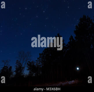 Dark treeline in North Carolina with the Christmas star rising and room ...