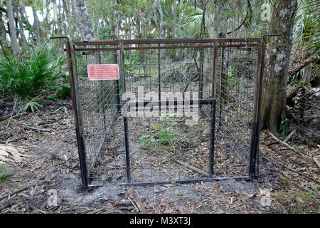 Trap for wild boar Stock Photo - Alamy