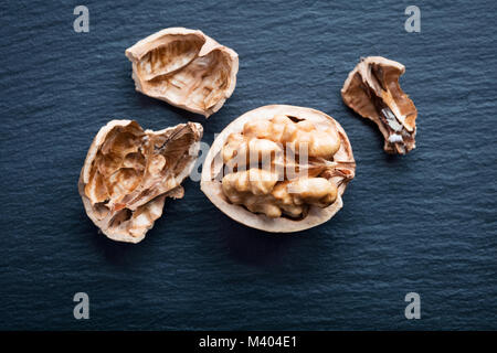 A cross section of a nut of the Black Walnut (Juglans nigra ...