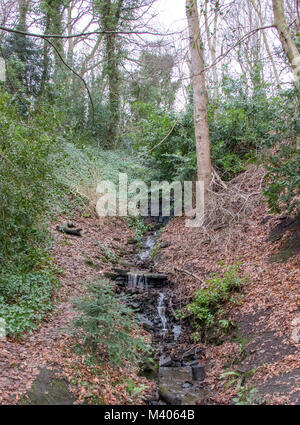 Stream running through hillside in the Peak district Derbyshire England ...