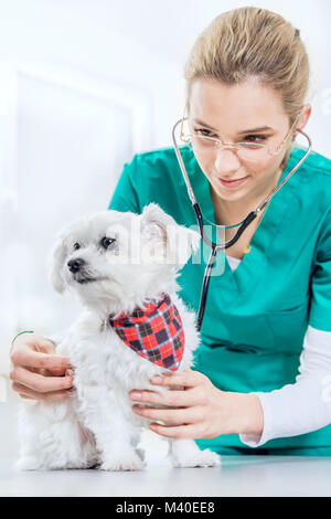 Medical stethoscope isolated Stock Photo - Alamy