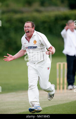 Cricket, bowler celebrating wicket Stock Photo - Alamy