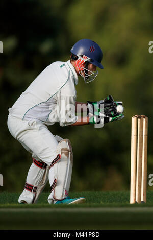 Cricket Wicket Keeping Stock Photo - Alamy