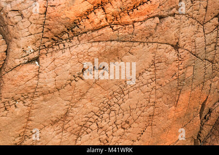 Sandstone siltstone texture background Stock Photo - Alamy
